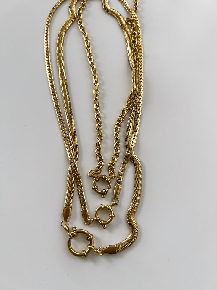 WELCOME – Vaya Papaya